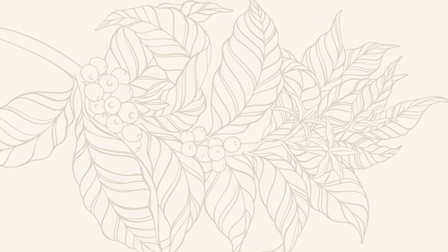 Employment – Chesapeake Coffee Roasters
